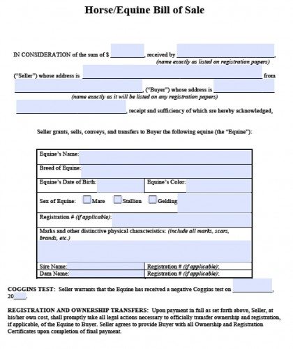 Horse Bill Of Sale Template Canada Eiplm